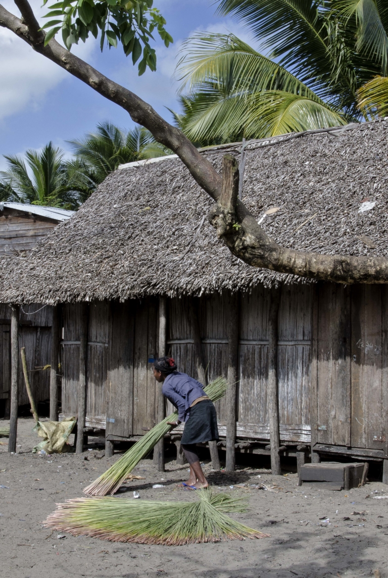 A MAD22 fruits de la nature YA - Kikaphoto