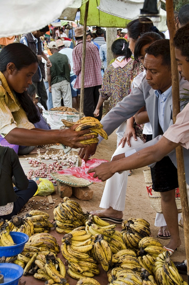 Y MAD01 Akondro YA - Kika